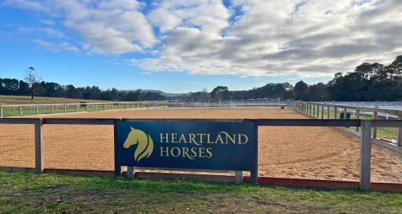 Gallery - Heartland Horse Farm