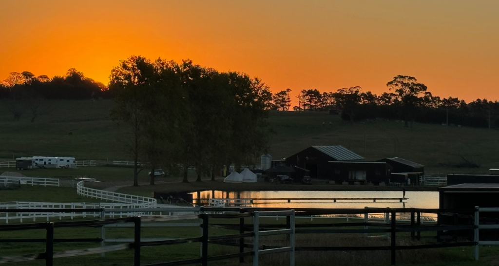 Gallery - Heartland Horse Farm