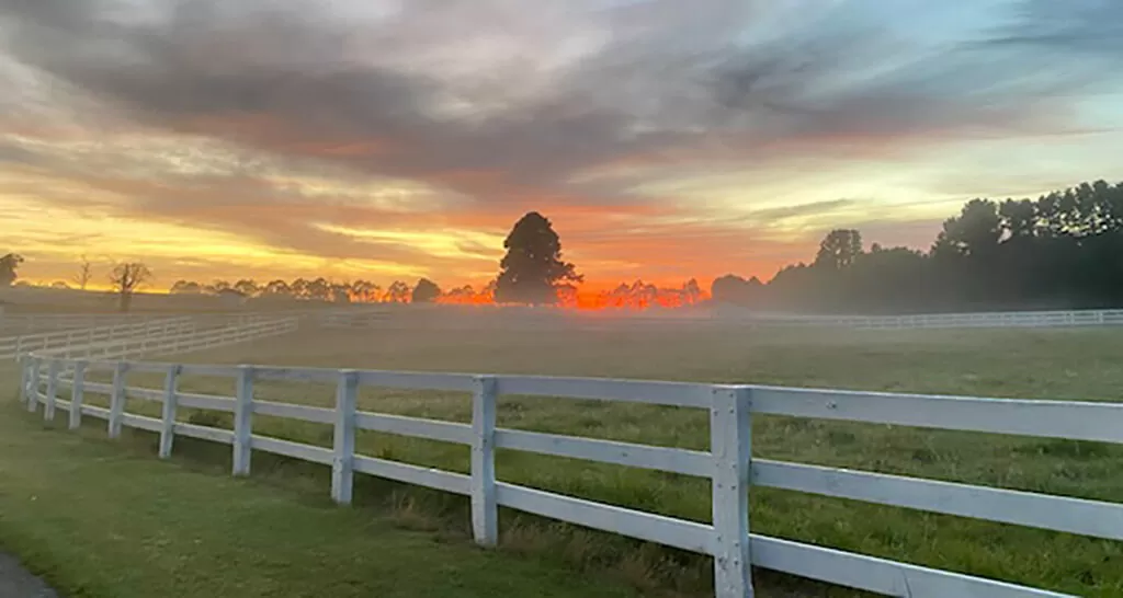 Gallery - Heartland Horse Farm