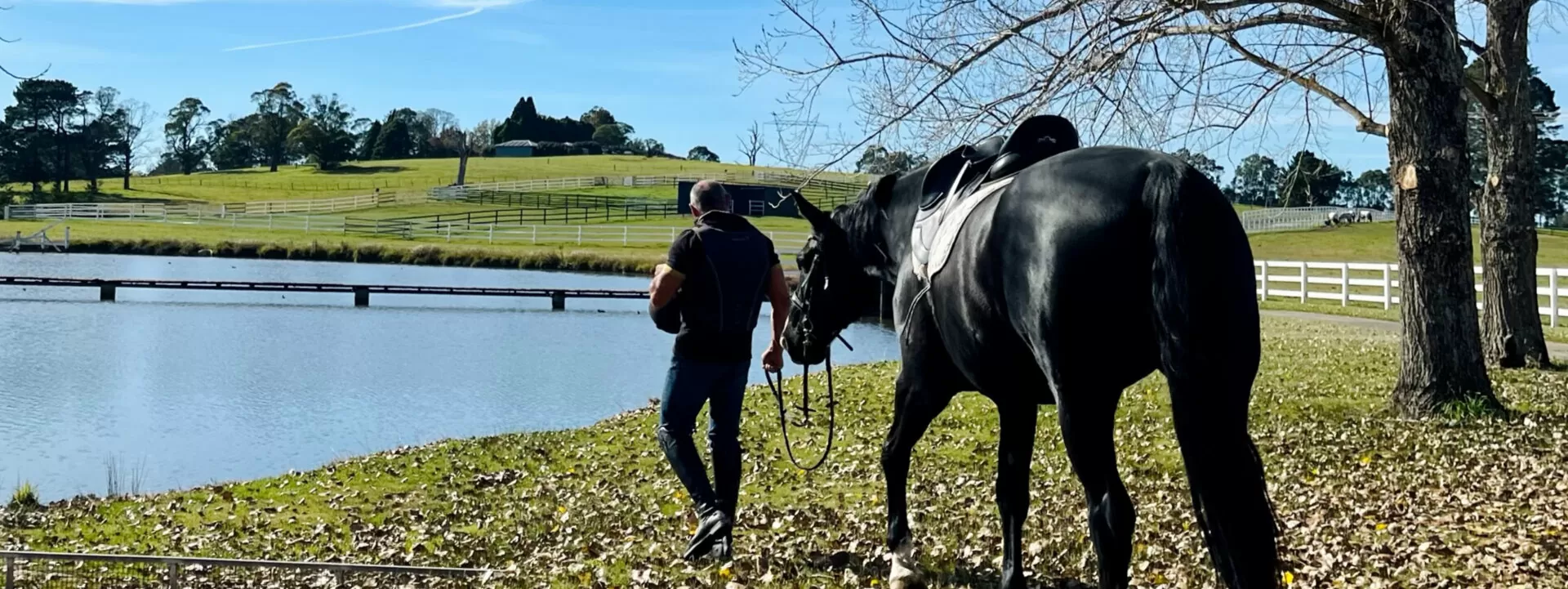 Volunteer & Shadowing at Heartland Horse Farm in Southern Highlands, NSW