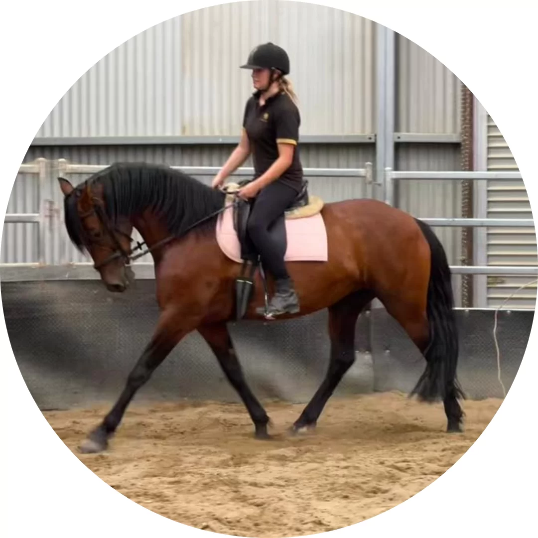 Our Team Members - Heartland Horse Farm